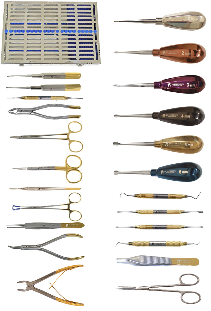 Veterinary Dental Instrument Set for Canine and Feline – Dr Bretts Pets