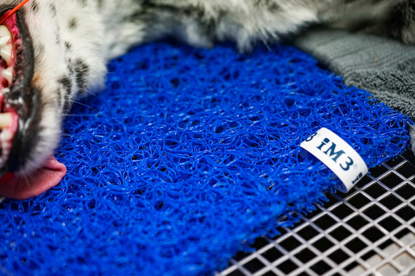 iM3 Veterinary Dental Mat – Dr Bretts Pets